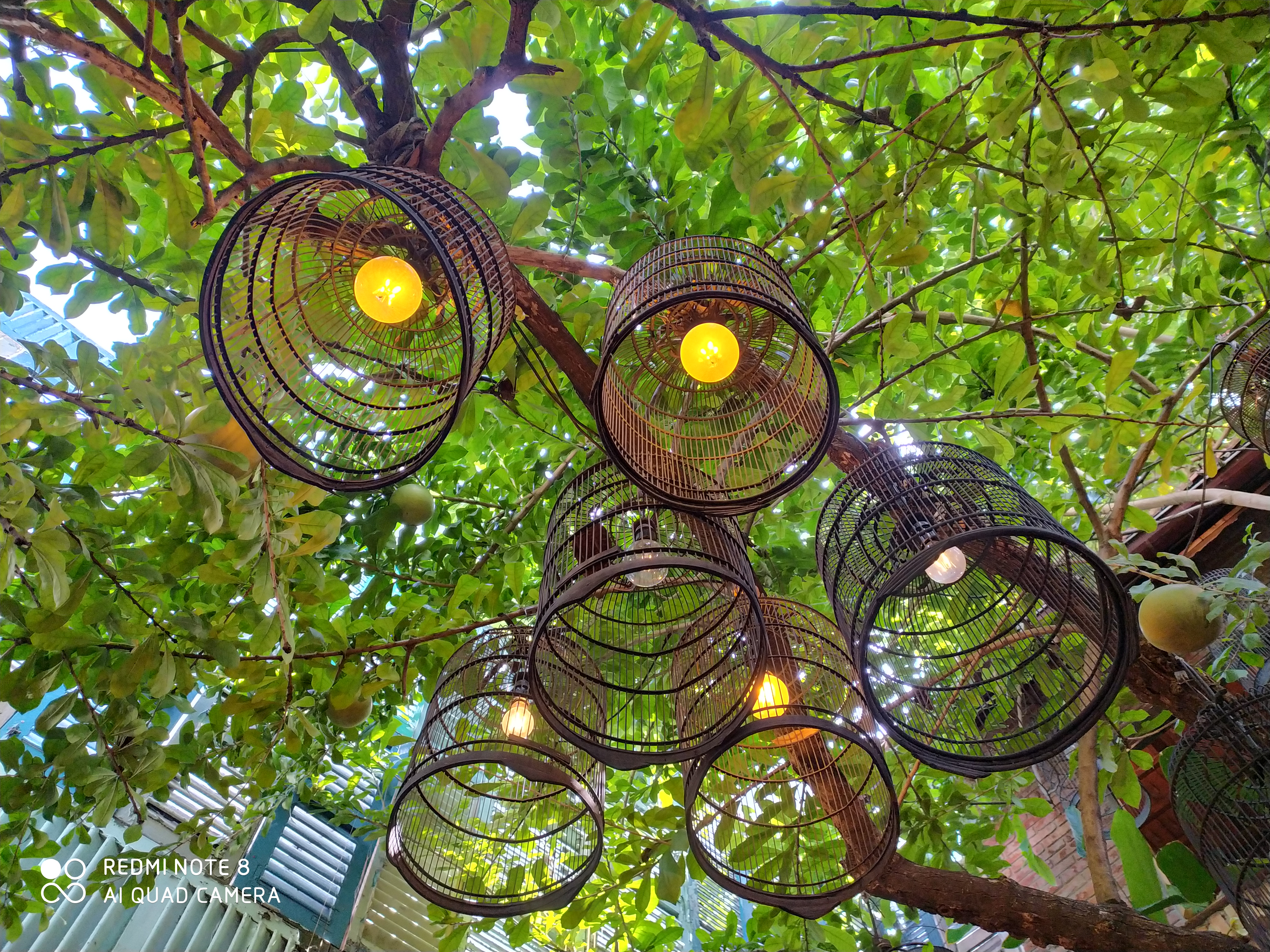 So sánh chi tiết Điện thoại Xiaomi Mi 6c với Xiaomi Redmi Note 8 (3GB ...