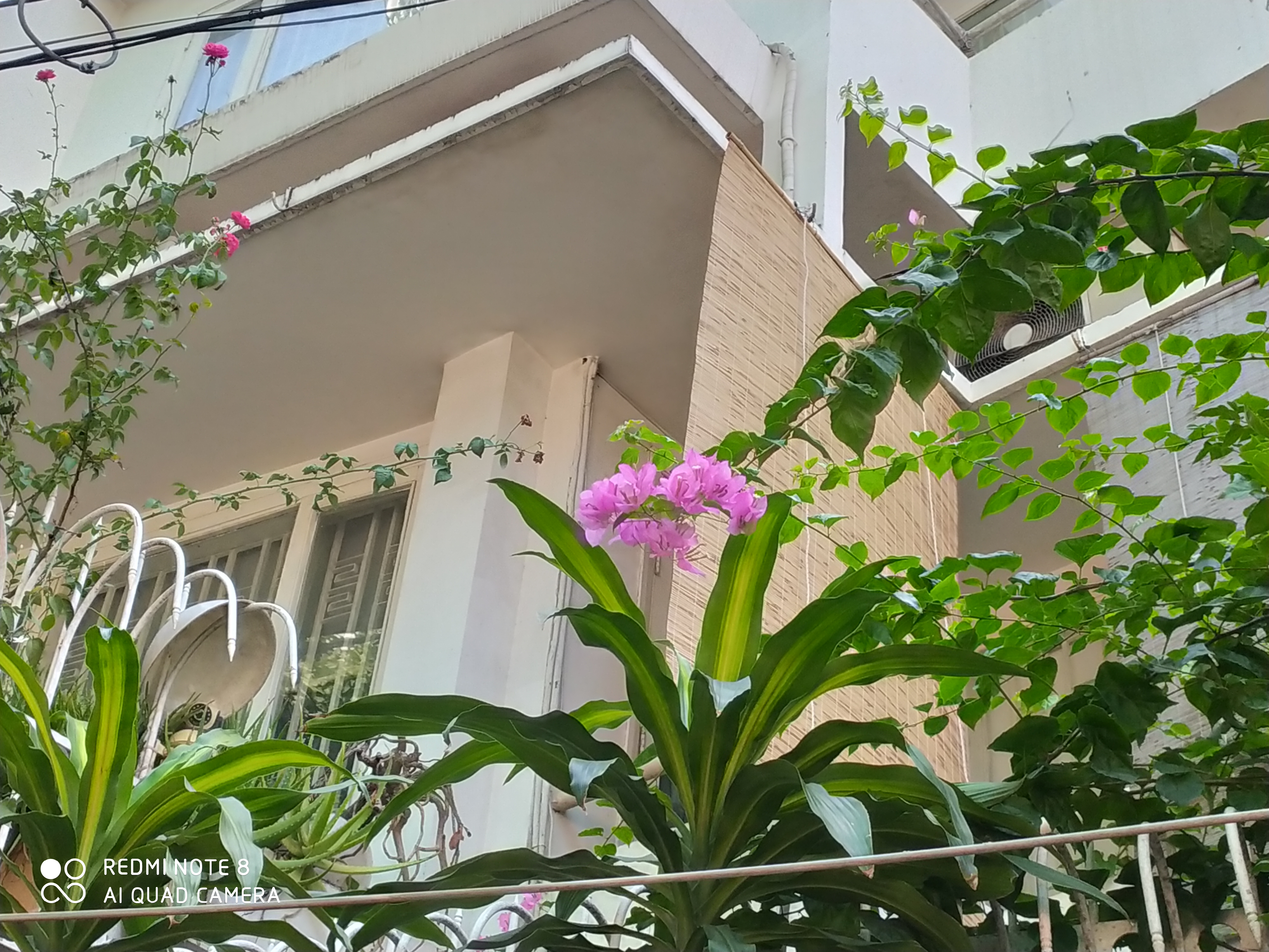 So sánh chi tiết Điện thoại Xiaomi Mi 6c với Xiaomi Redmi Note 8 (3GB ...