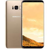 Samsung Galaxy S8+ (Plus) - Màn hình siêu khủng | Thegioididong.com