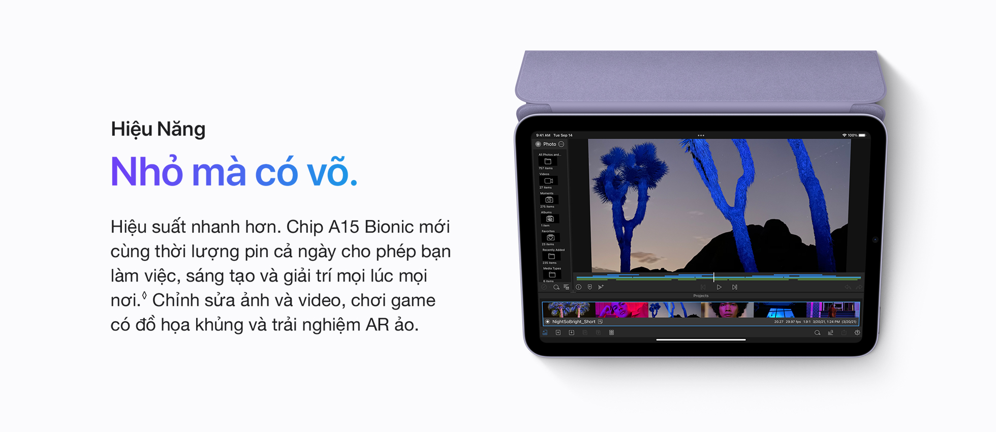 Máy tính bảng iPad mini 6 WiFi Cellular 256GB chính hãng