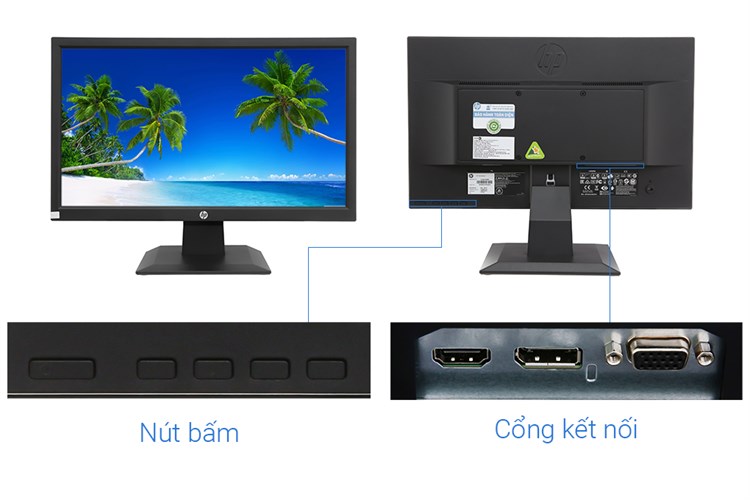 Màn hình LCD HP P204 19.5 inch HD+ (5RD65AA) chính hãng, giá rẻ