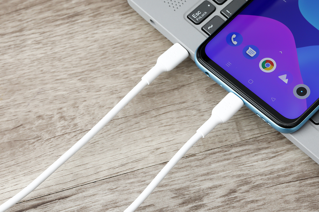 Cáp Type C - Type C 1m Belkin CAB003 - giá rẻ, chính hãng 100%