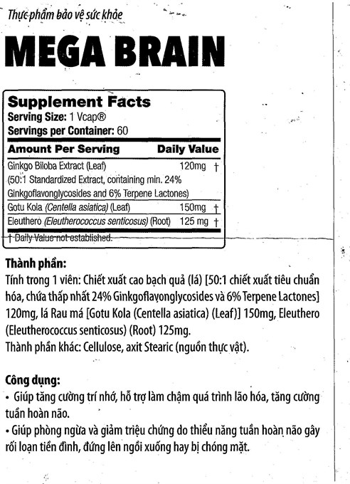 Hotchland Mega Brain tăng cường trí nhớ, giảm chóng mặt hộp 60 viên 04/ ...