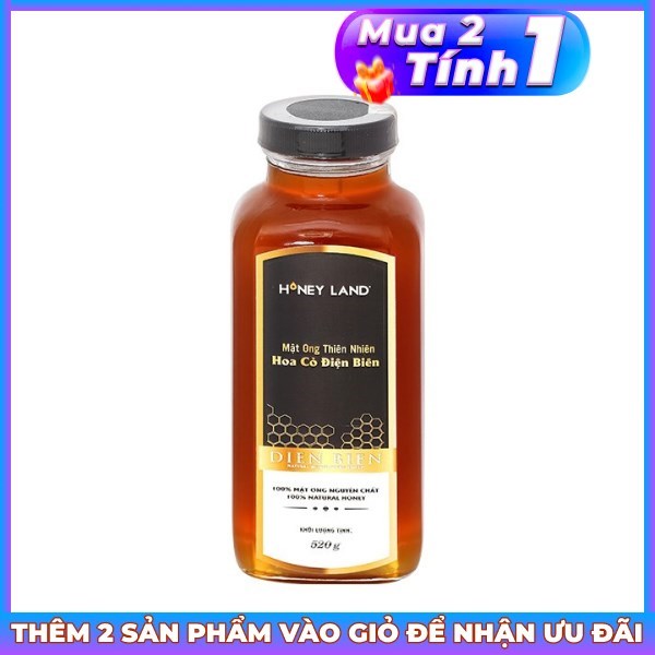 Mật ong thiên nhiên Hoa Cỏ Điện Biên Honey Land chai 520g mua 2 tính tiền 1 - 04/2024 ...