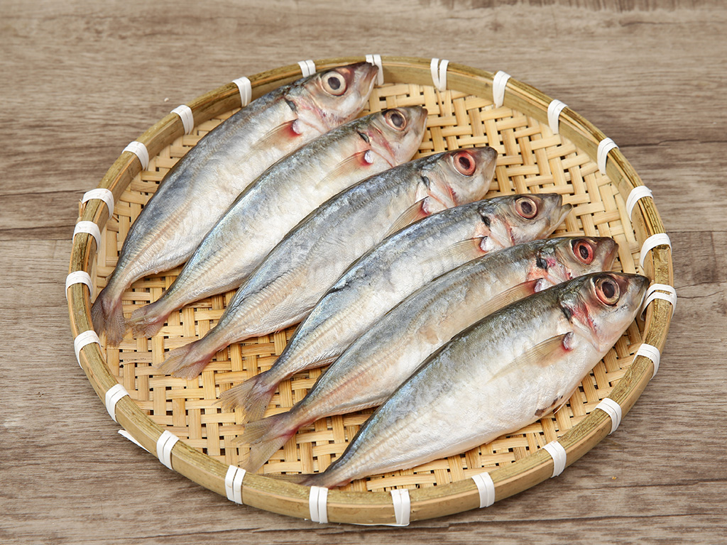 Cá nục túi 450g - 550g (5-7 con) giá rẻ tại Bách hoá XANH