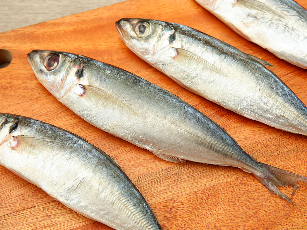 Cá nục túi 500g (5-7 con) giá rẻ tại Bách hoá XANH