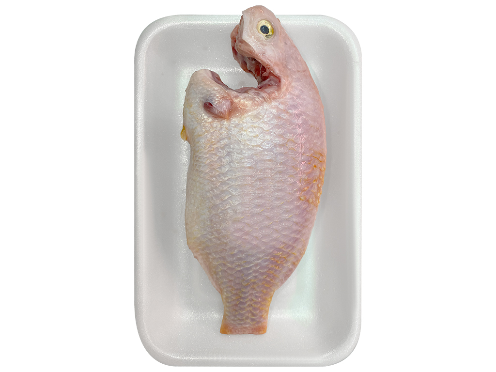 Cá diêu hồng làm sạch giá rẻ tại Bách hoá XANH