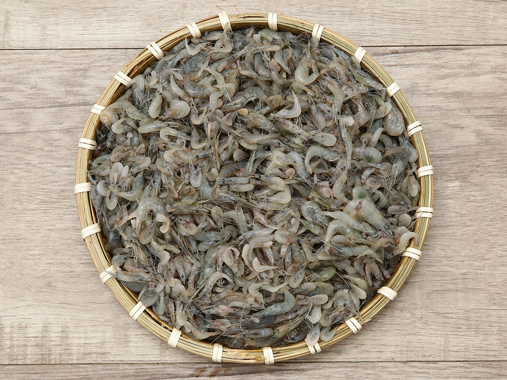 Tép rong giá rẻ tại Bách hoá XANH