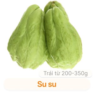 Su su giá tốt tại Bách hoá XANH