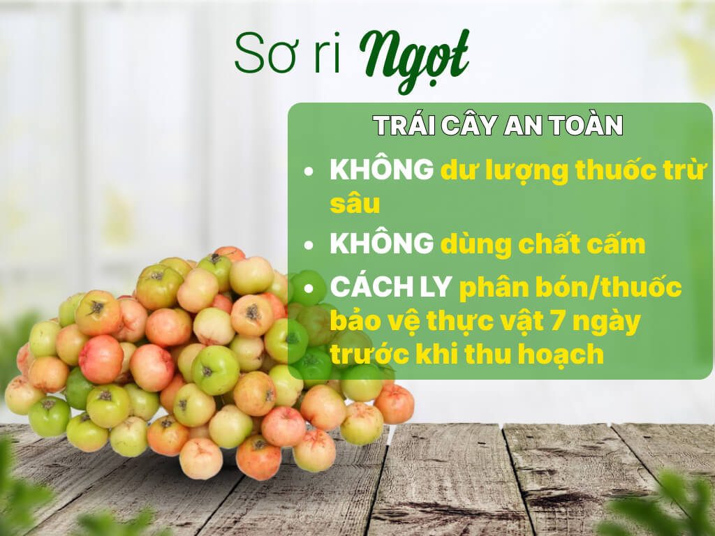 Sơ ri giá tốt tại Bách hoá XANH