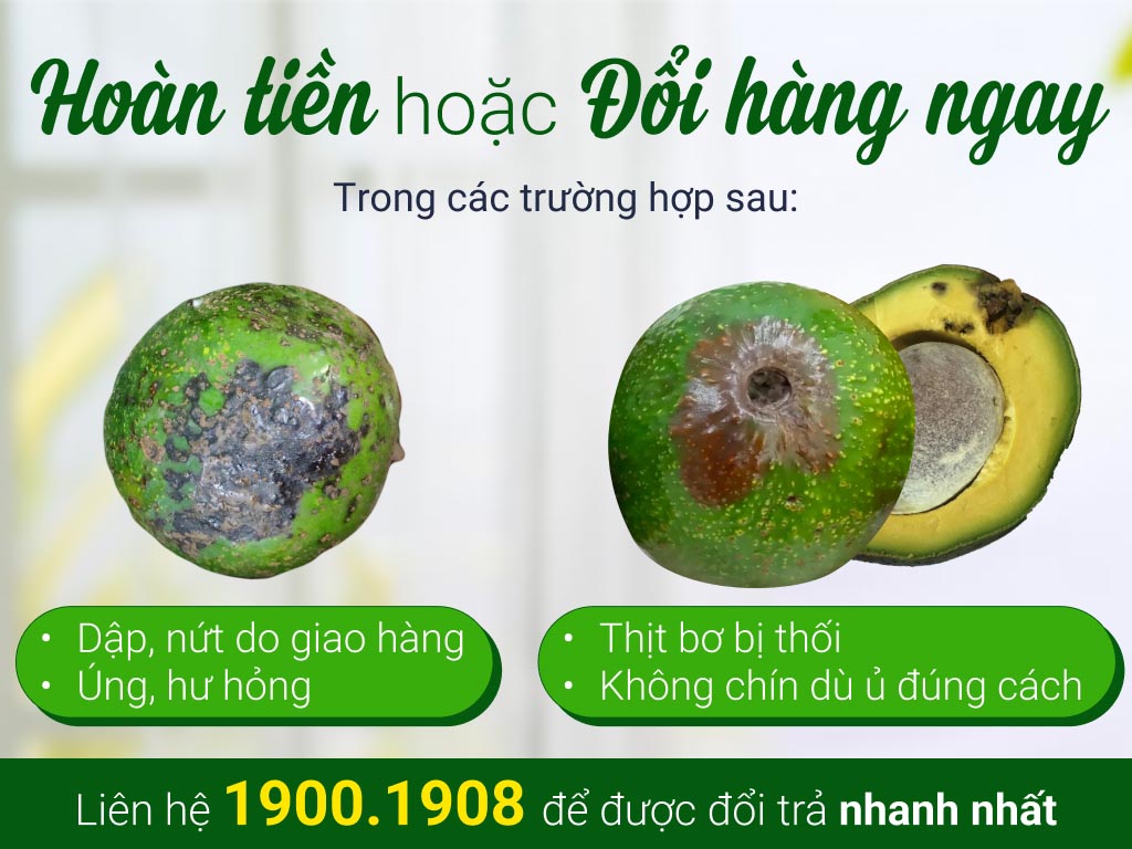 Bơ Booth giá tốt tại Bách hoá XANH