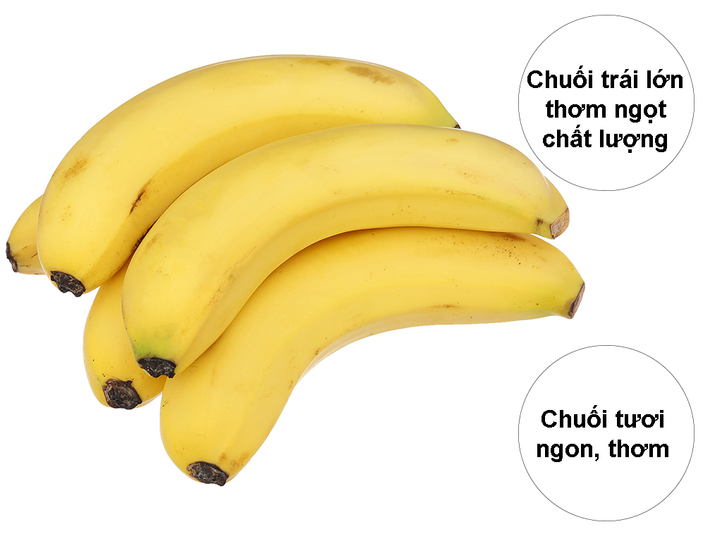 Set 5 trái chuối già giống Nam Mỹ tươi ngon Bách hóa XANH