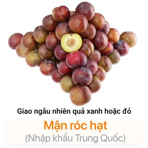 Mận róc hạt tươi ngon bách hóa XANH