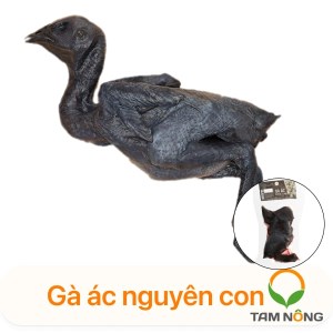 Gà ác nguyên con 135g tại Bách hóa XANH