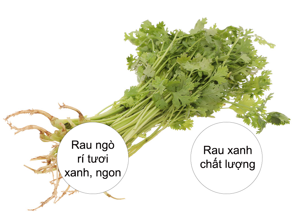 Ngò rí giá tốt tại Bách hoá XANH