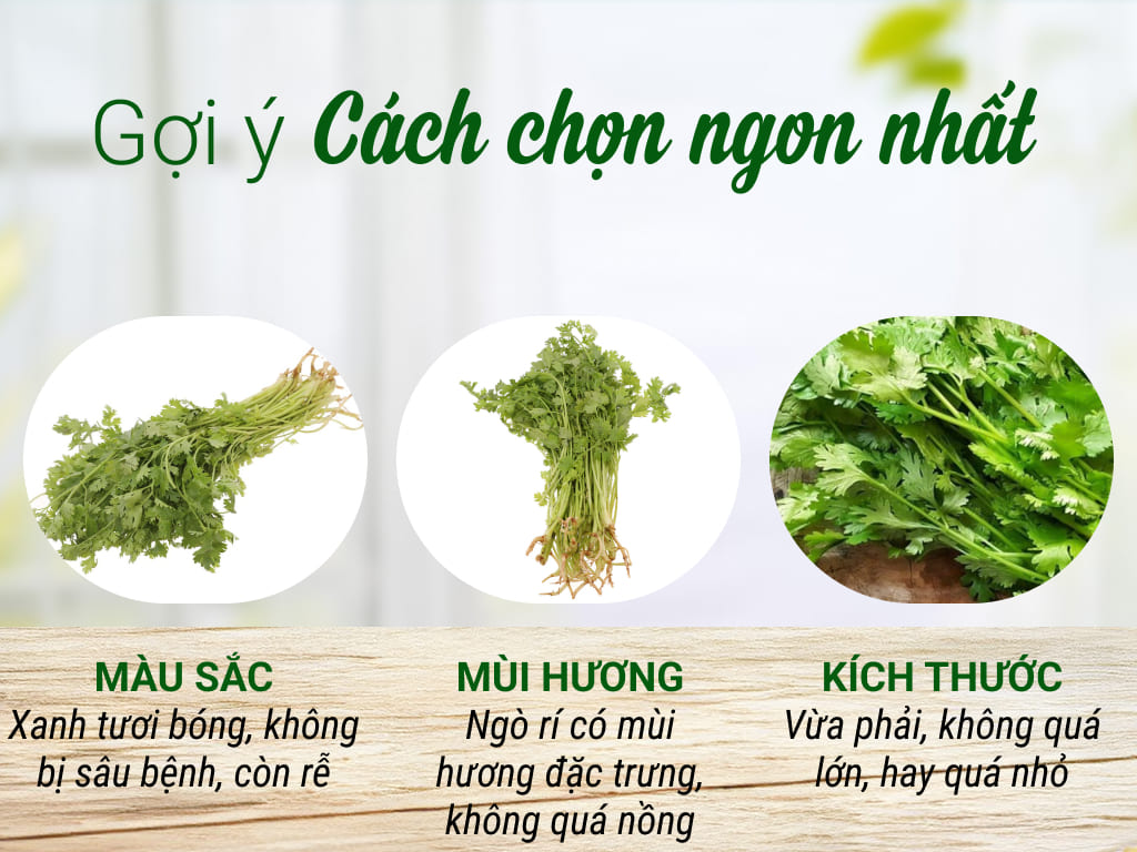 Ngò rí giá tốt tại Bách hoá XANH