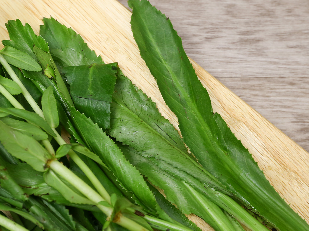 Ngò gai, rau om tươi giá tốt tại Bách hoá XANH