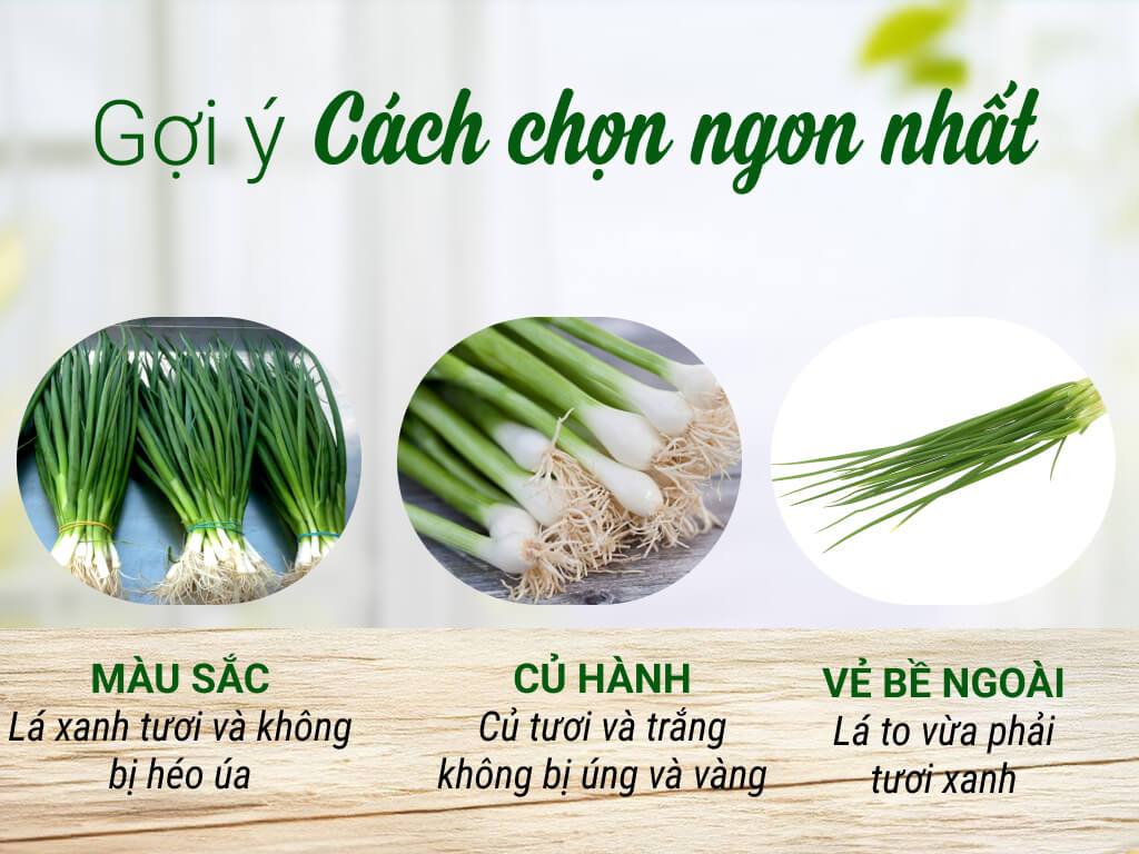 Hành lá giá tốt tại Bách hoá XANH