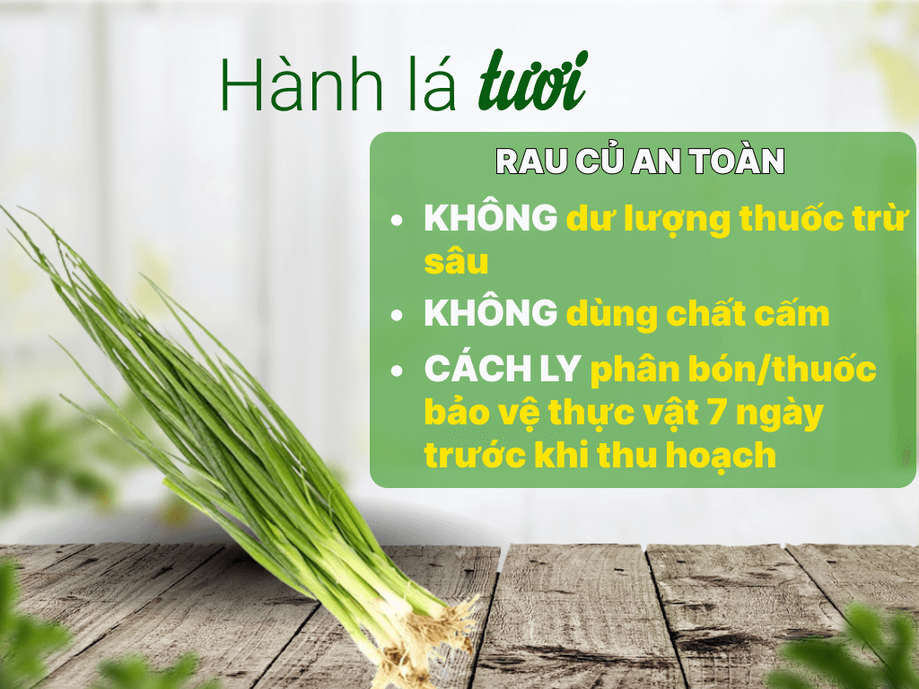 Hành lá giá tốt tại Bách hoá XANH