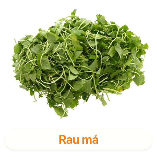 Mua rau tươi sống, chất lượng, an toàn tại Bách hóa XANH