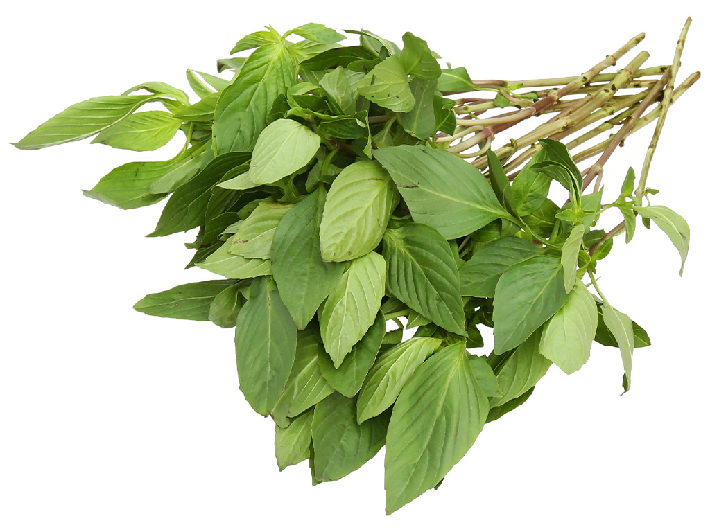 Rau húng quế túi 100g tươi ngon tại Bách hoá XANH