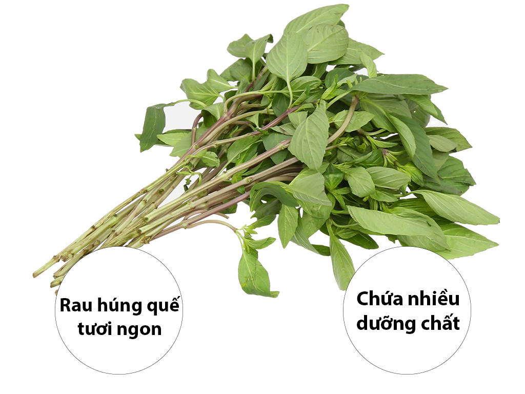 Rau húng quế túi 100g tươi ngon tại Bách hoá XANH