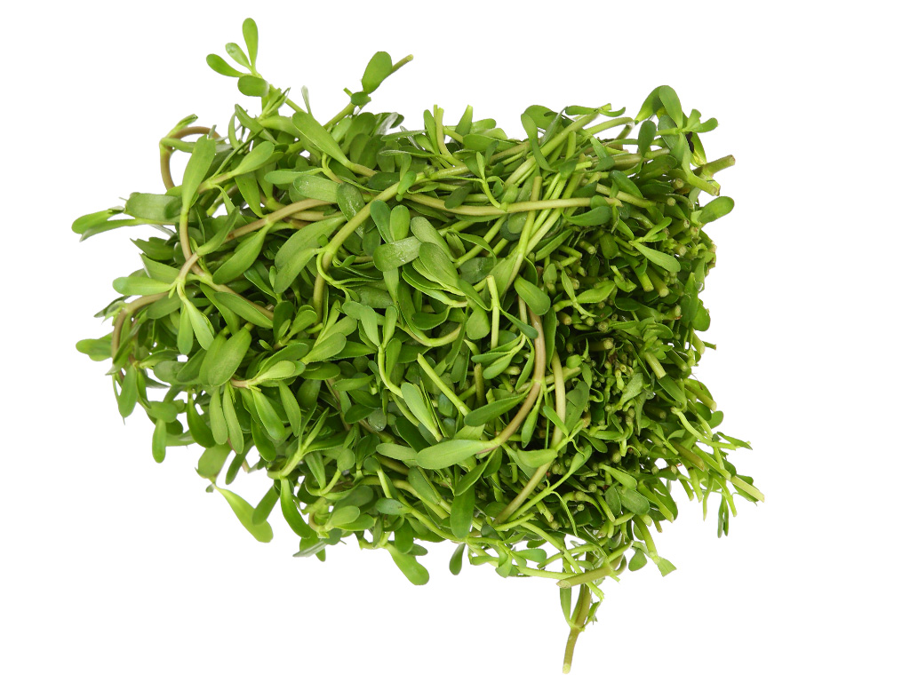 Rau đắng khoảng 500g tươi ngon, giá tốt tại Bách hoá XANH