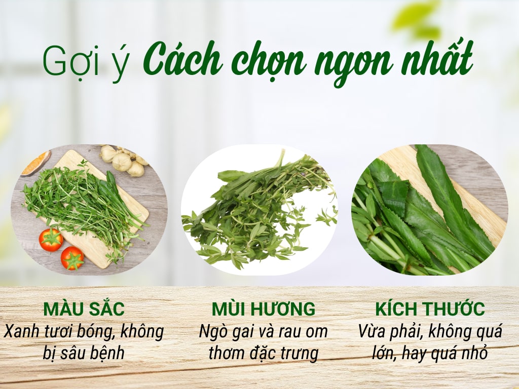 Ngò gai, rau om 50g tươi ngon tại Bách hoá XANH