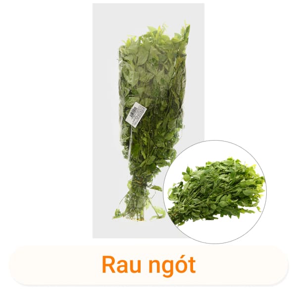 Mua rau tươi sống, chất lượng, an toàn tại Bách hóa XANH