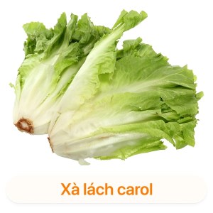 Xà lách carol tươi ngon, giá cả cực tốt tại Bách hoá XANH