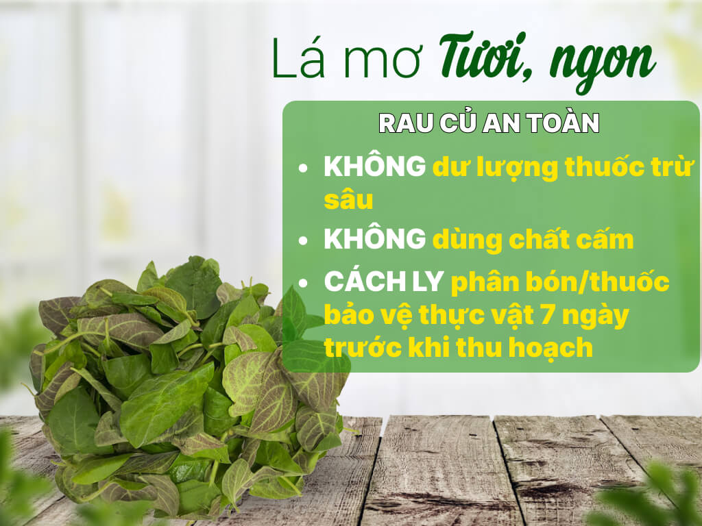 Lá mơ 100g tươi ngon, giá cả cực tốt tại Bách hoá XANH