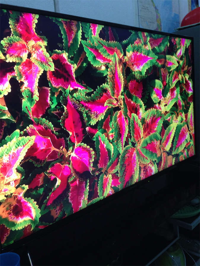 Smart Tivi Panasonic 4K 49 inch TH-49EX600V - giá tốt, có Smart Tivi Panasonic 4K 49 inch TH-49EX600V - giá tốt, có