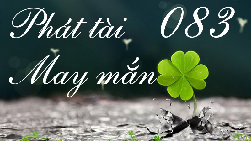 Đầu số 083 là mạng gì? Ý nghĩa của đầu số 083? Có phải số may mắn ...