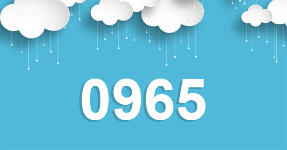 Đầu số 0965 là mạng gì? Ý nghĩa của đầu số 0965? Có phải số lộc phát ...