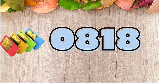 Đầu số 0818 là mạng gì? Ý nghĩa của đầu số 0818? Có phải đầu số đẹp ...